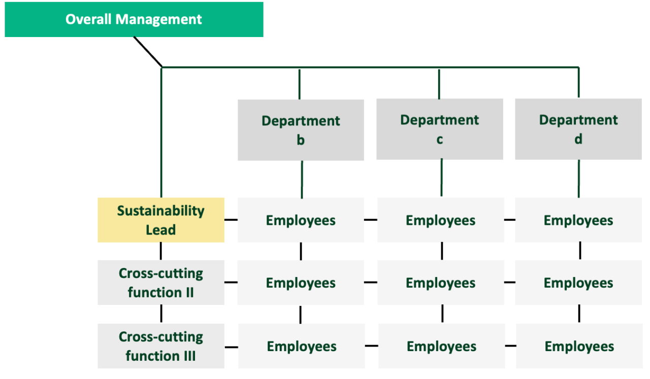 Organizational structures for sustainability - The Sustainability ...