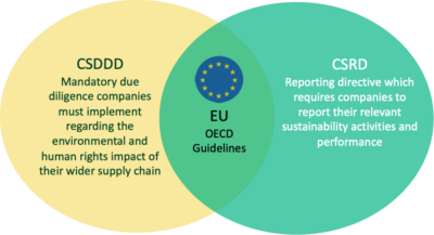 Corporate Sustainability Due Diligence Directive (CSDDD) - The ...