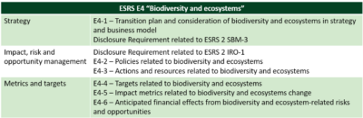 European Sustainability Reporting Standards (ESRS) - The Sustainability ...